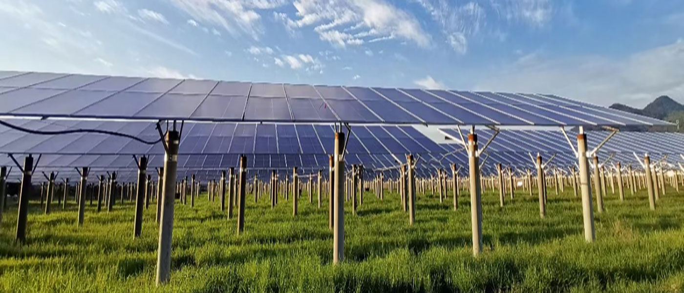 Luotian 100MW Agro-solar Hybrid PV Power Generation Project | Trina Solar